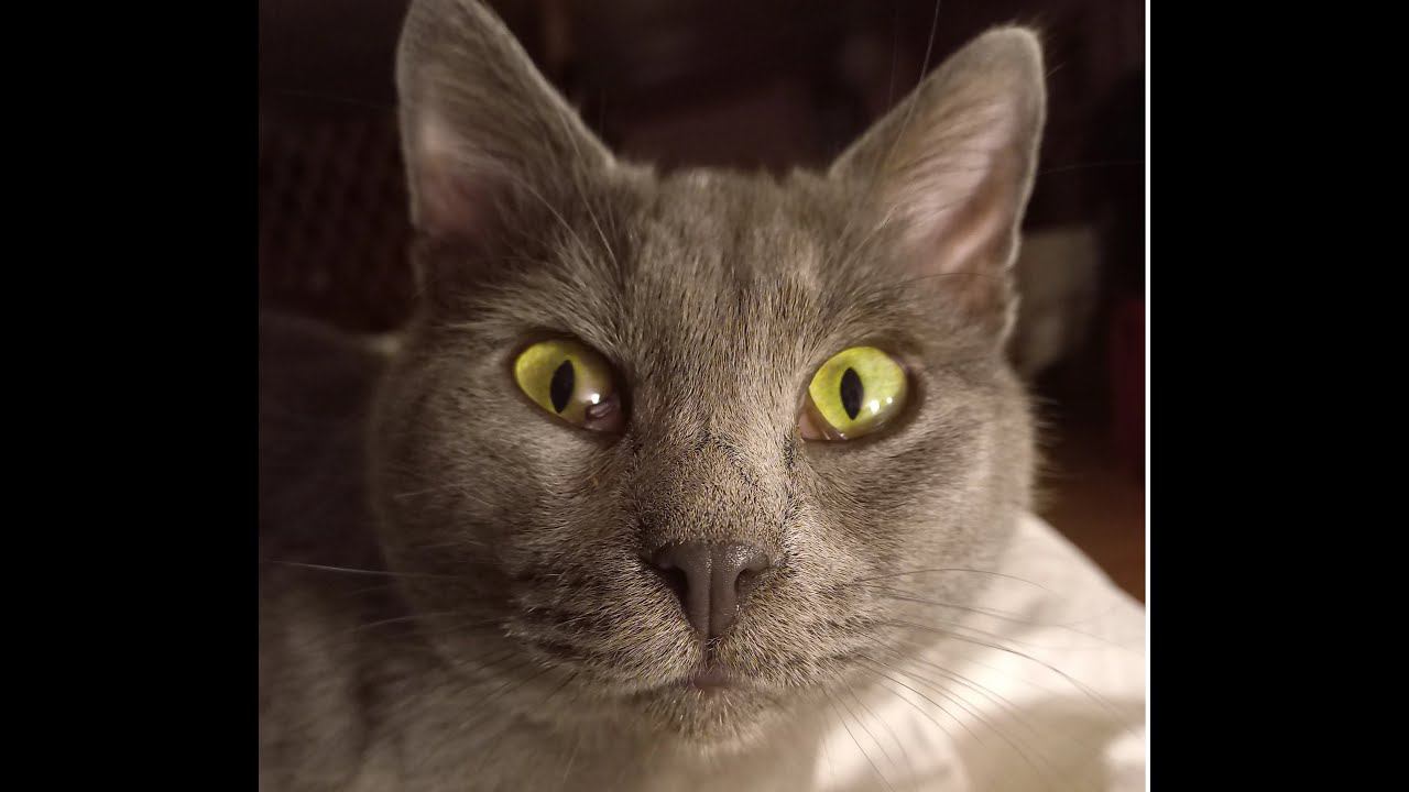 Я прекрасен!