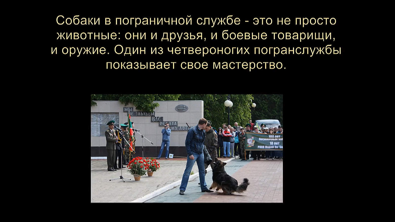Пограничная собака_показательное выступление.