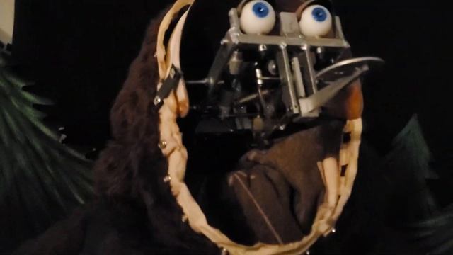 [Spooky warning!] Faceless animatronic Billy Bob plays a song for you ...