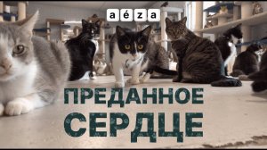 Aéza в приюте "Преданное сердце"