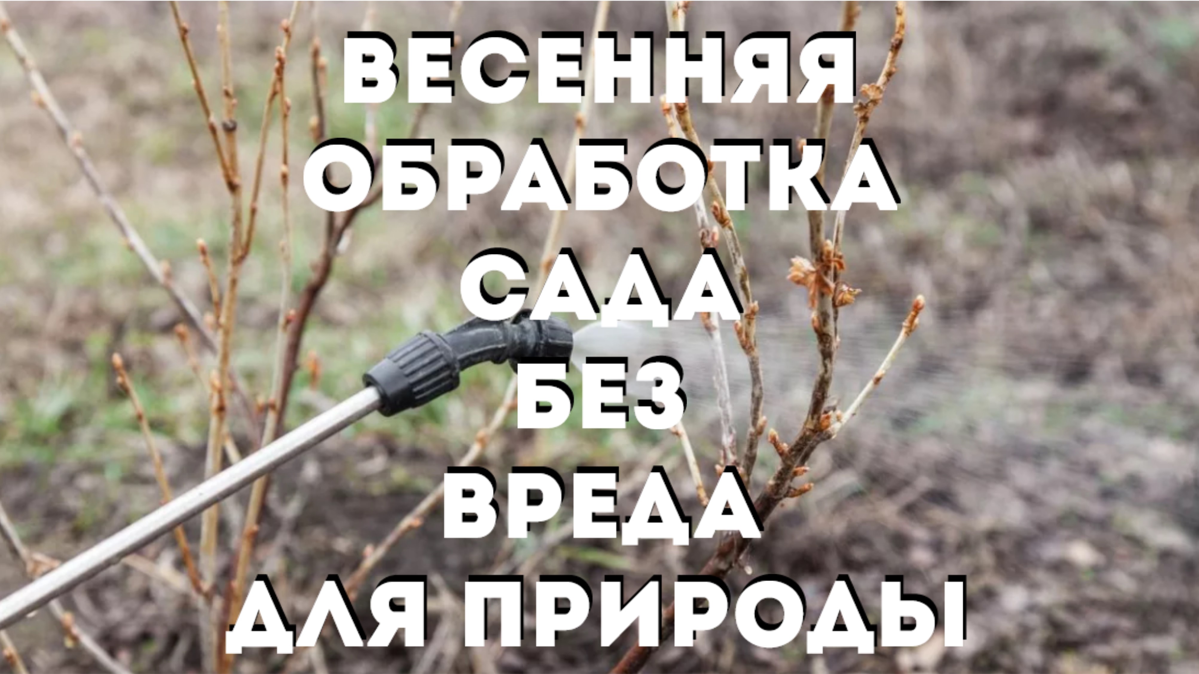 05.04.2023 Дача после зимы- с чего начать? Обработка сада.