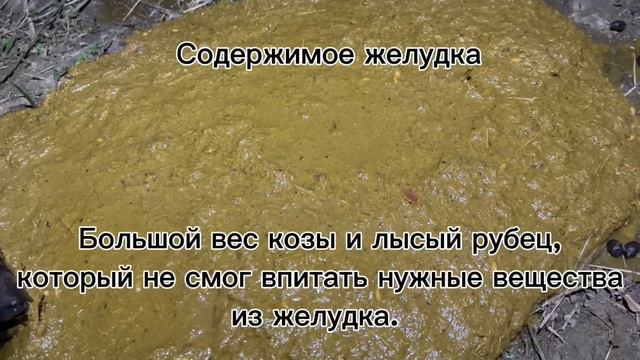 А теперь о грустном!