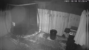 VID_20230718_214932_081.mp4