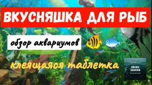 Вкусняшка для рыб- просто приклей на стекло и наблюдай за цирком))