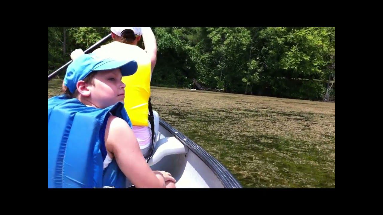 Мы в Коламбусе. Июнь 2011 - декабрь 2012