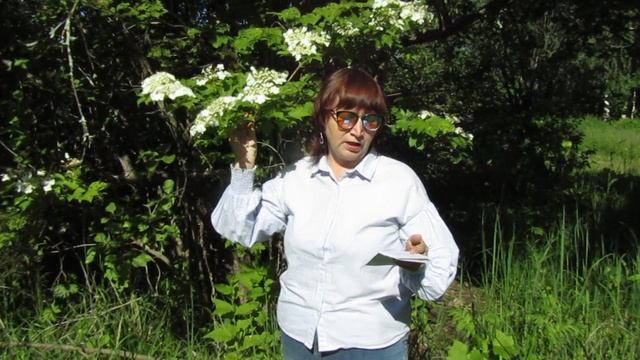 Поланвондо. Аркадий Букетов. 1970 ий, 21 июль