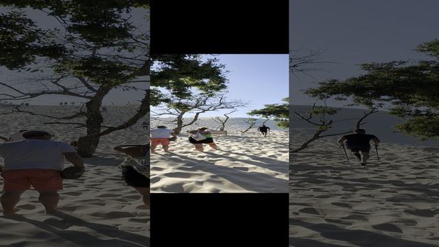 Дюна Пила высотой 108 метров простирается вдоль побережья более чем на три километра, Франция