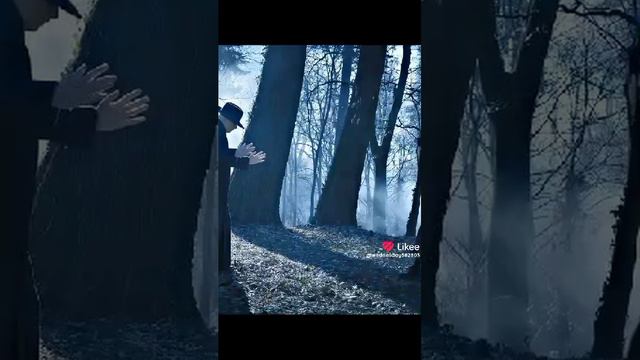 2daaaadd9e46470da109123b35cdf7fa.mp4