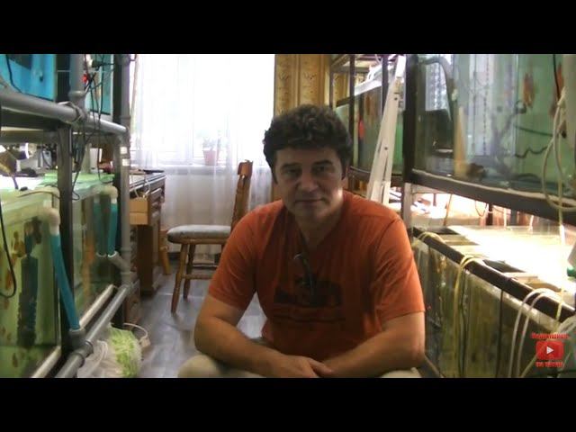 Запуск внешнего биофильтра для Дискусов. Часть 1.