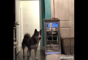 Эй, хозяйка!