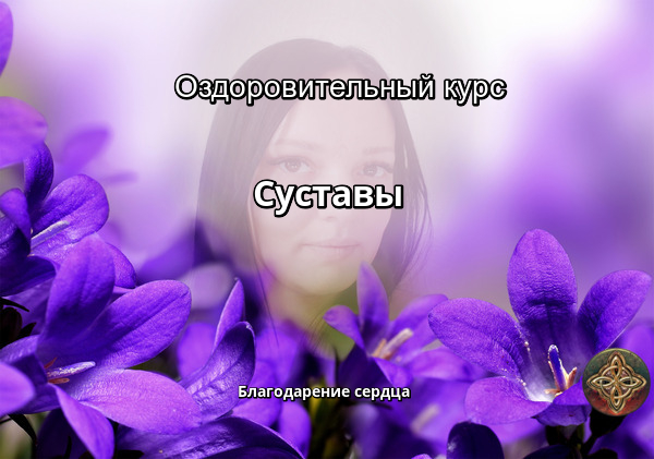 Оздоровительный курс СУСТАВЫ