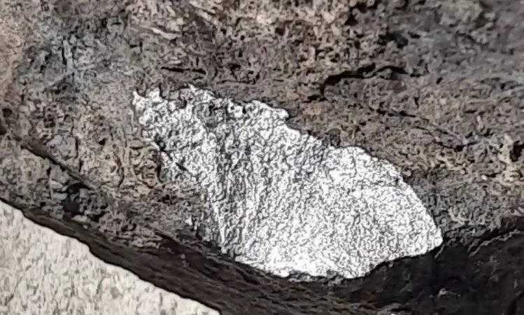 Метеорит из чистого вольфрама.