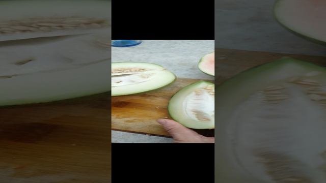 Арбузы поспели.