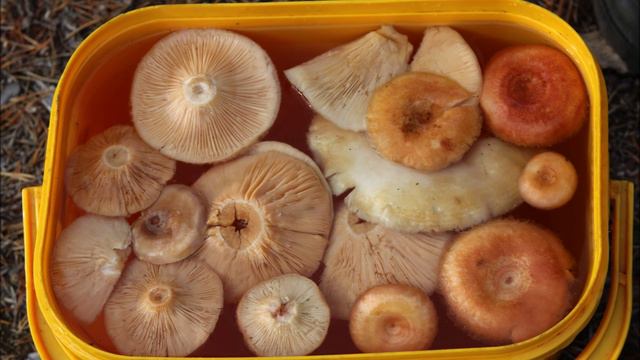 Карелия осень 2016