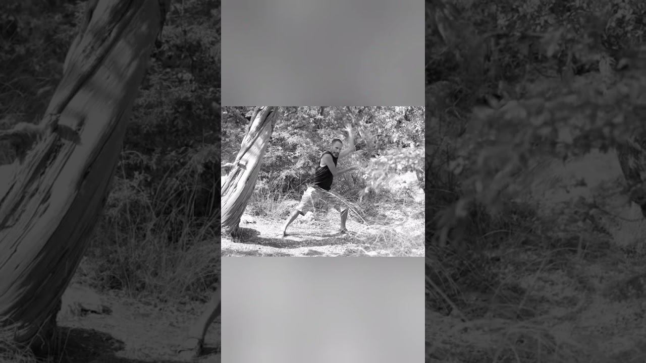 ЦИГУН онлайн