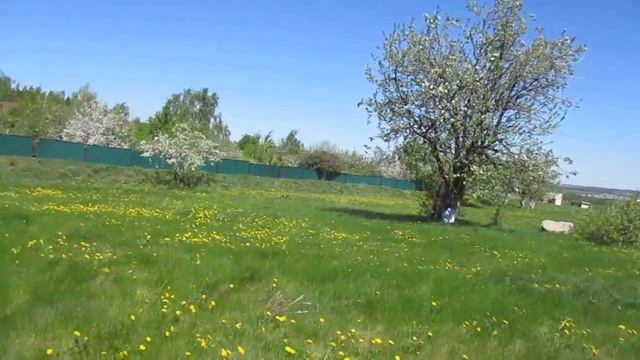 Прогулка по красивым местам 1 часть 167 видео .