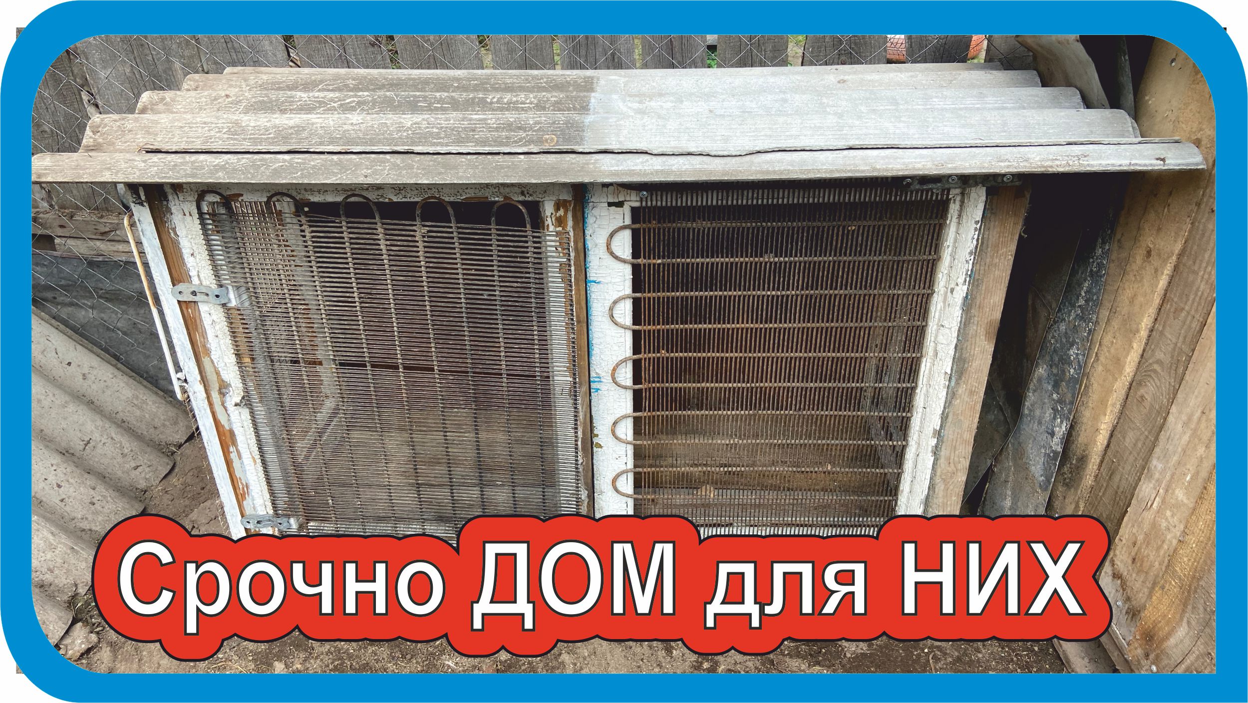 А я совсем забыл О НИХ