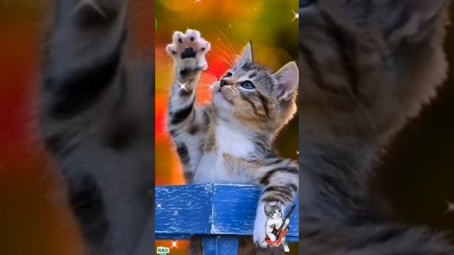 Всё будет хорошо!