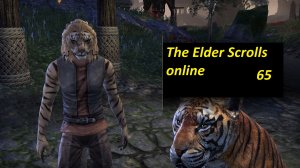 Прохождение The Elder Scrolls Online. Серия 65. Головоломки из Рыжего Меха