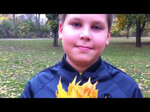 Осенние выходные. Лесопарк, речка, футбол. Ноябрь 2012