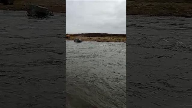 тундра Воркута