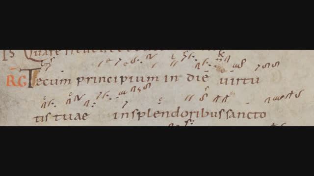 Tecum Principium