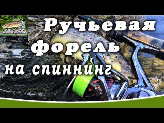 Ручьевая форель на спиннинг. Рыбалка в Ленинградской области. (ИЮЛЬ 2019)