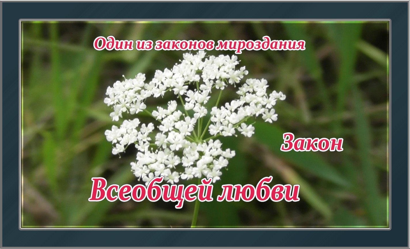 Закон мироздания о всеобщей любви.
