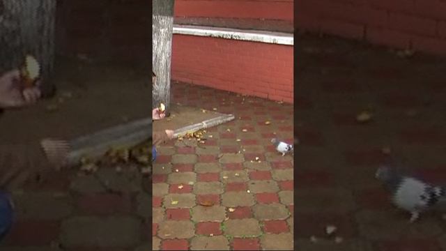 А весной поля зелёные