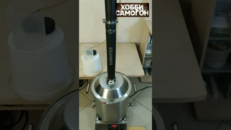 КАК ПОСЧИТАТЬ ГОЛОВЫ