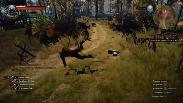 The Witcher 3. Бой против большой толпы стражников неизвестного уровня