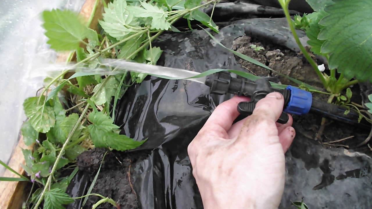 Улучшение капельного полива в балаганах. Прокачка воздуха.