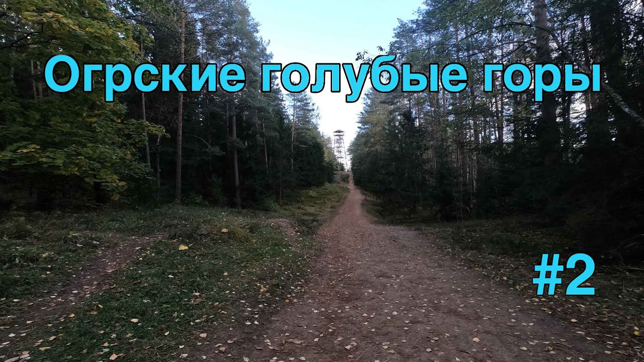 Прогулка на обзорную вышку возле города Огре  | Vlog #2
