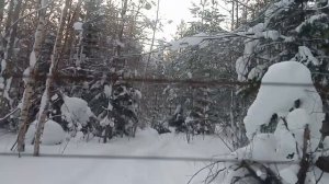 Самодельный гусеничный вездеход, в зимнем лесу..mp4