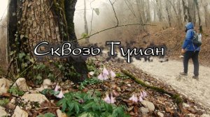 Фильм Сквозь Туман.На реальных событиях.