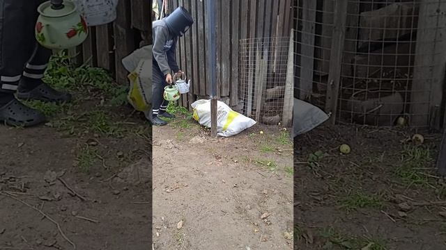 Нашёл чайники