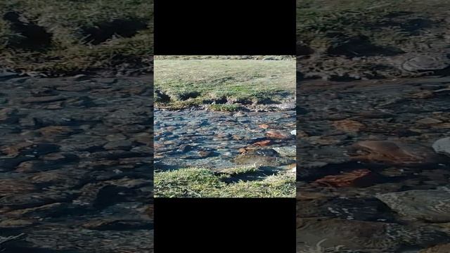 Прозрачная водица.mp4