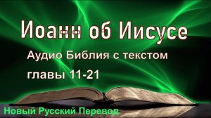 От Иоанна, гл. 11-21 тайм-коды #НовыйРусскийПеревод #аудиоБиблия #библия_слушать  #евангелие