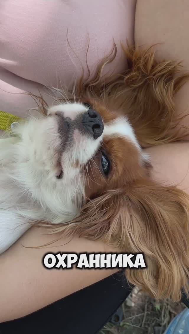 С палатками на море? 🌊 А вы готовы на это все? #кемпинг #море