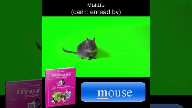 Задание M1. Ганчар Н.П. Английский язык. Учимся читать.mp4
