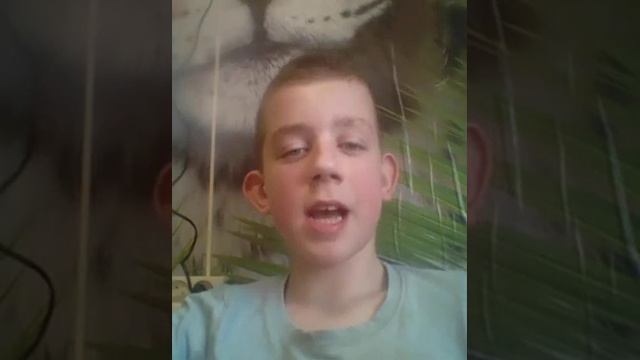Я лежу на кухне на диване