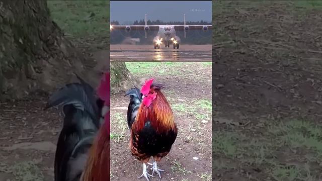 Советские название самолетов по классификации Нато