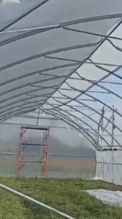 Ягодный туннель с автоматической сборкой куполов