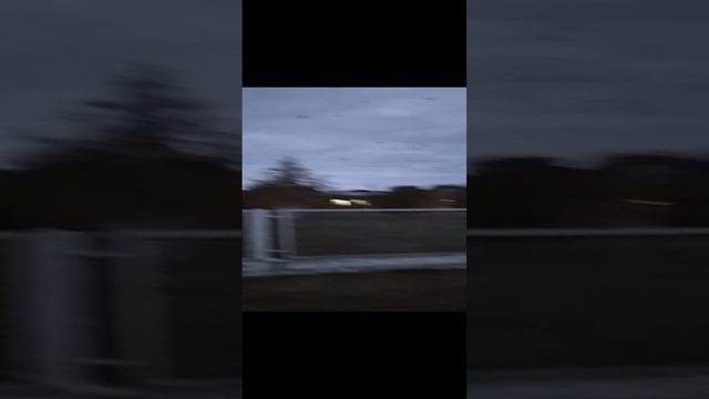Ершов. Воронья стая. Часть 2.