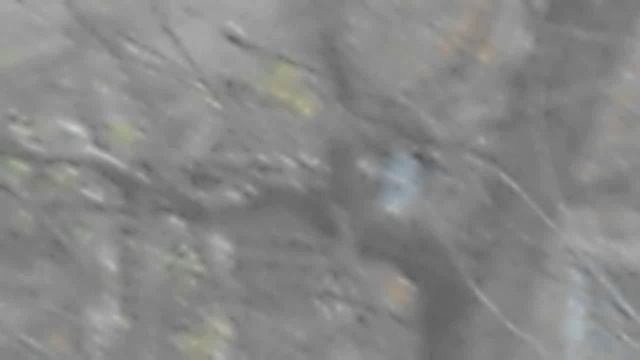 Ворона чистит клюв на дереве DSCN4898