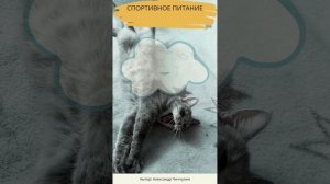 Кошечки и Шуточки! (18)