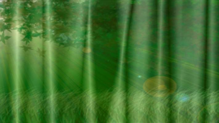 Работа над ошибками (мятый лес)