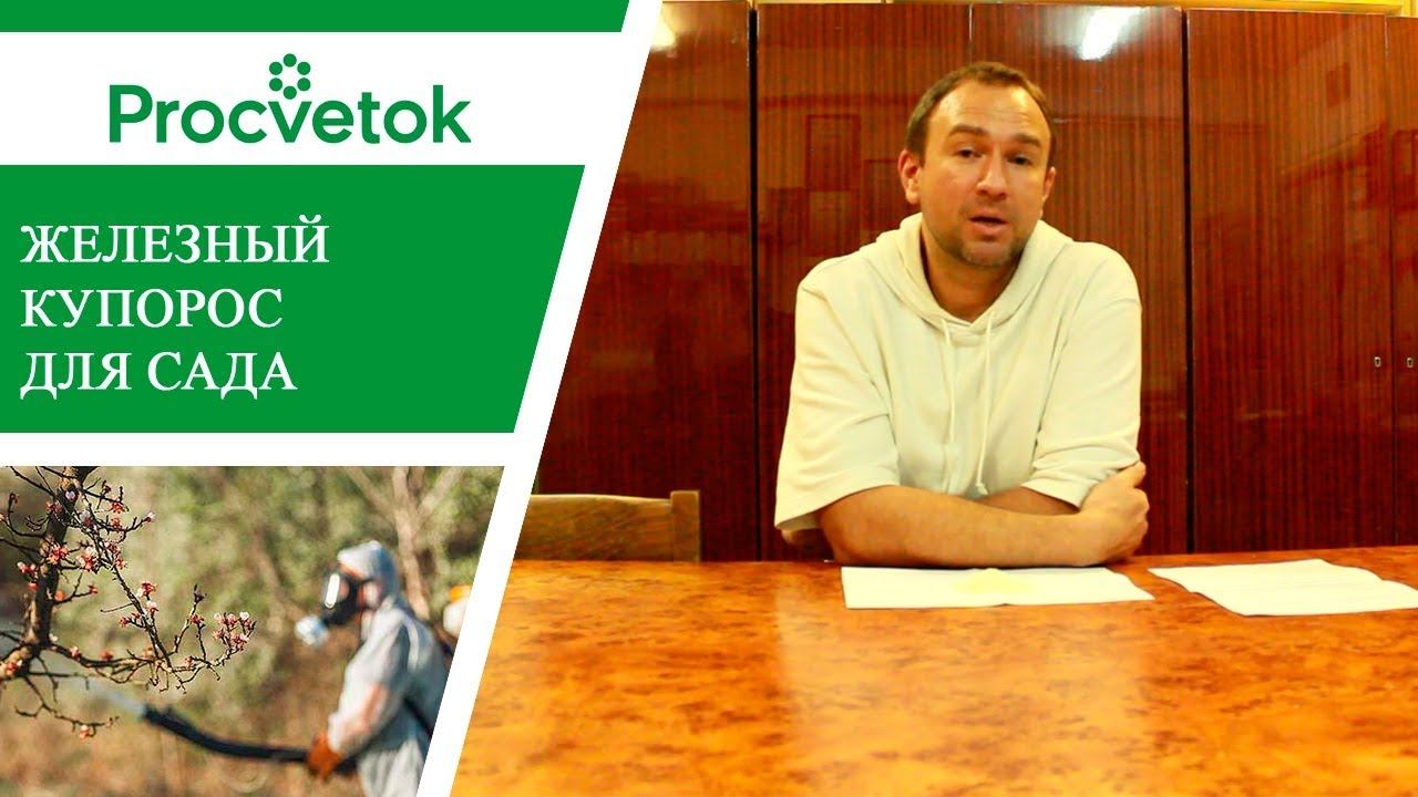 Железный купорос в садоводстве. Защита растений от грибковых заболеваний. - смотреть видео ...