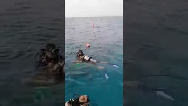 Первое погружение.mp4