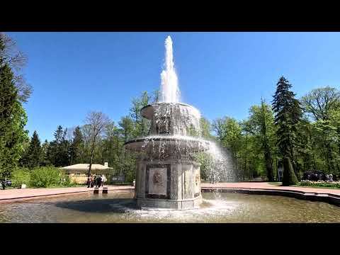 Круиз на теплоходе А. Чехов. Гостим в Санкт-Петербурге. 2 часть. Петергоф. Крейсер Аврора.